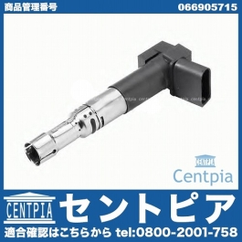 イグニッションコイル VW(フォルクスワーゲン) [066905715]